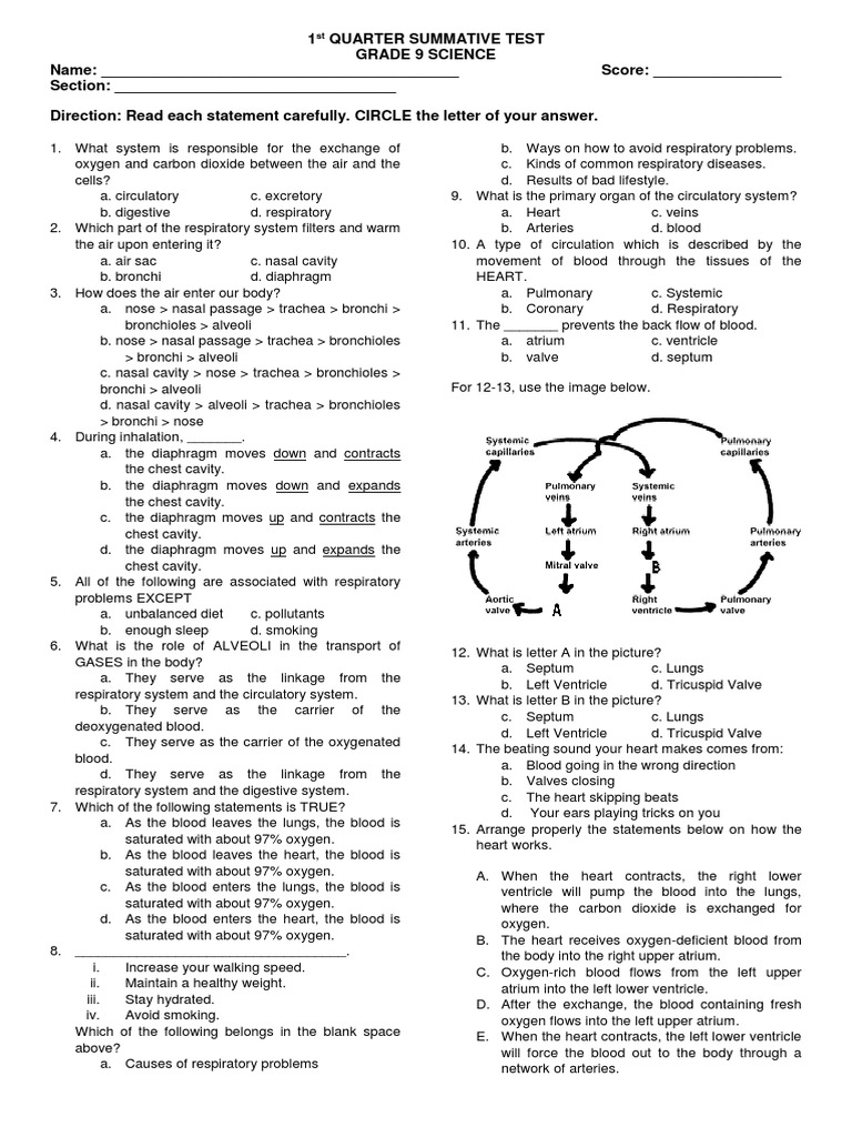 1st Summative Test Grade 9 | PDF | Circulatory System | Dominance ...