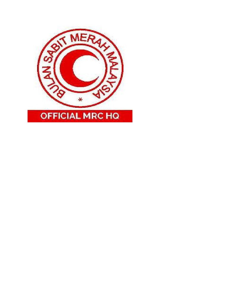 Logo BSMM | PDF