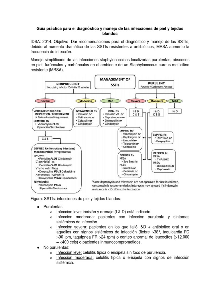 Guía actualizada para el diagnóstico y tratamiento integral de las infecciones de piel y tejidos ...