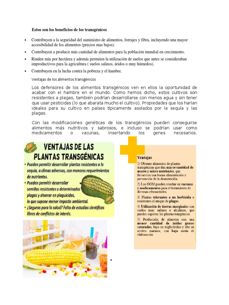 Estos Son Los Beneficios de Los Transgénicos | PDF