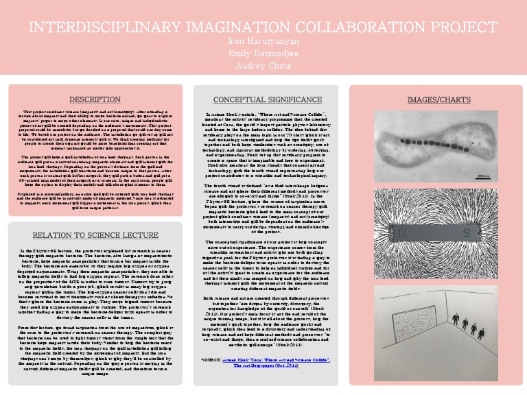 Description Conceptual Significance Images/Charts: Interdisciplinary ...
