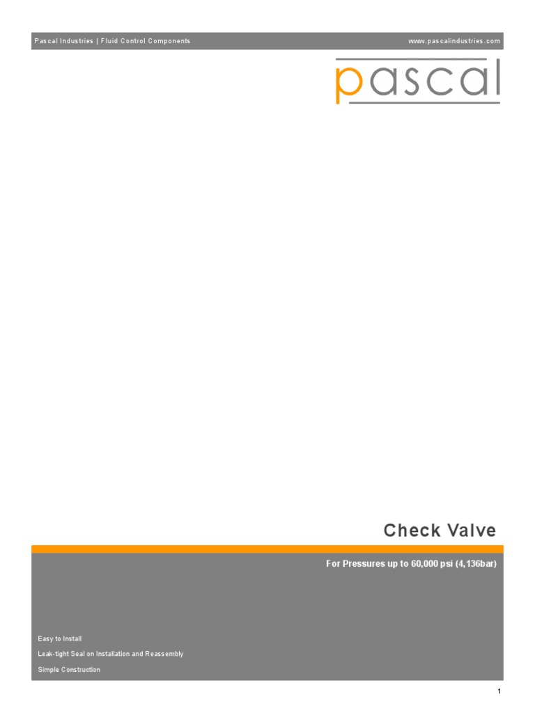 PASCAL Check Valves Catalogue | PDF | Valve | Pressure