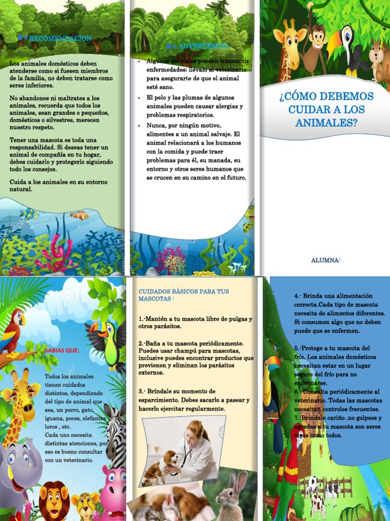 ¿Cómo Debemos Cuidar A Los Animales? | PDF | Mascota | Animales y humanos