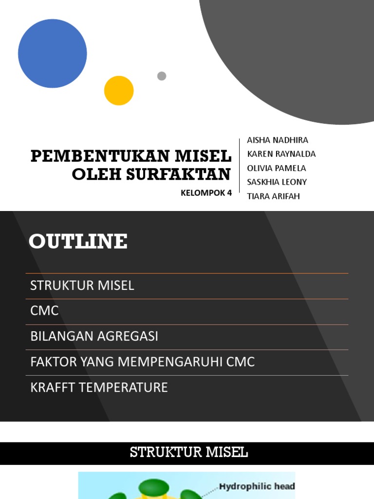 Pembentukan Misel Oleh Surfaktan (Kelompok 4) | PDF