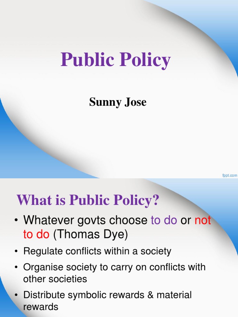 Understanding Public Policy Principles | PDF | Public Choice | Policy