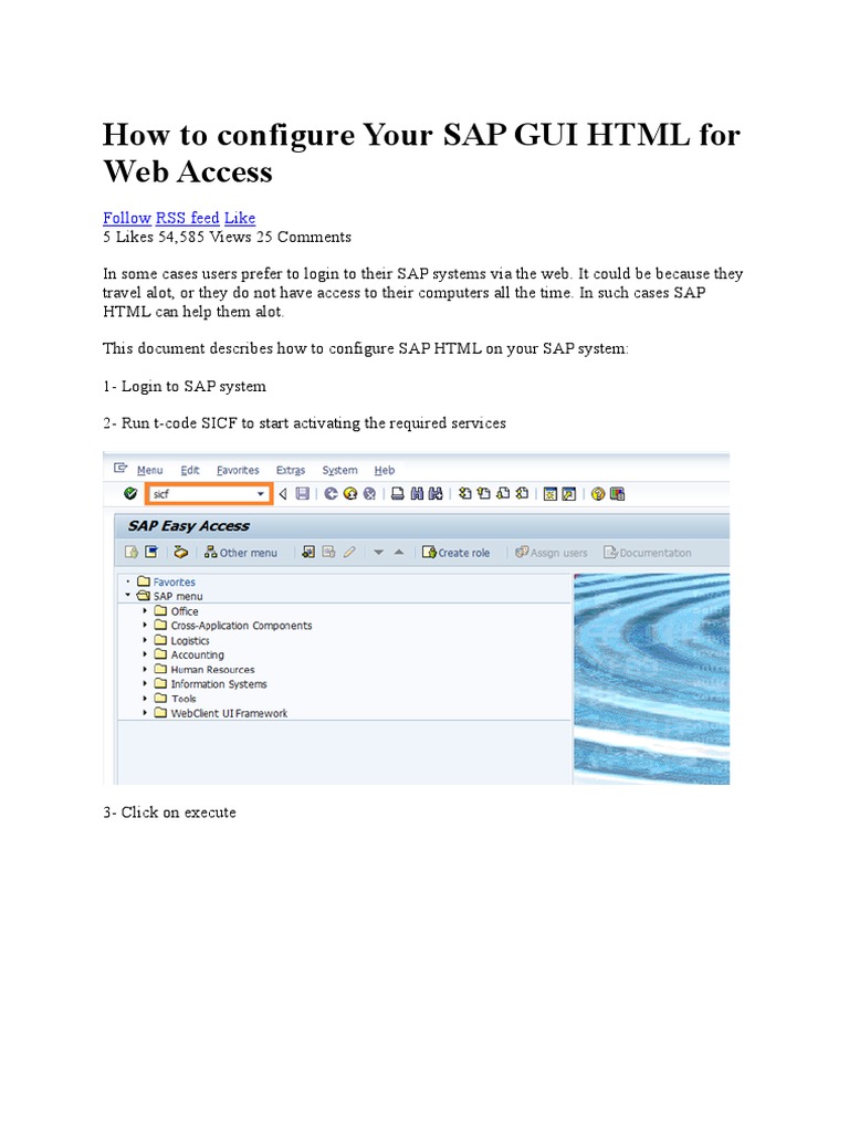 How To Configure Your Sap Gui Html For Web Access Follow Rss Feed Like Pdf Hypertext 
