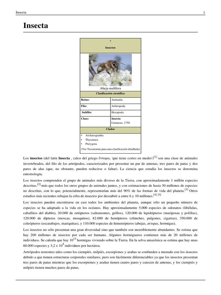 Clase-Insecta.pdf | Insectos | Zoología