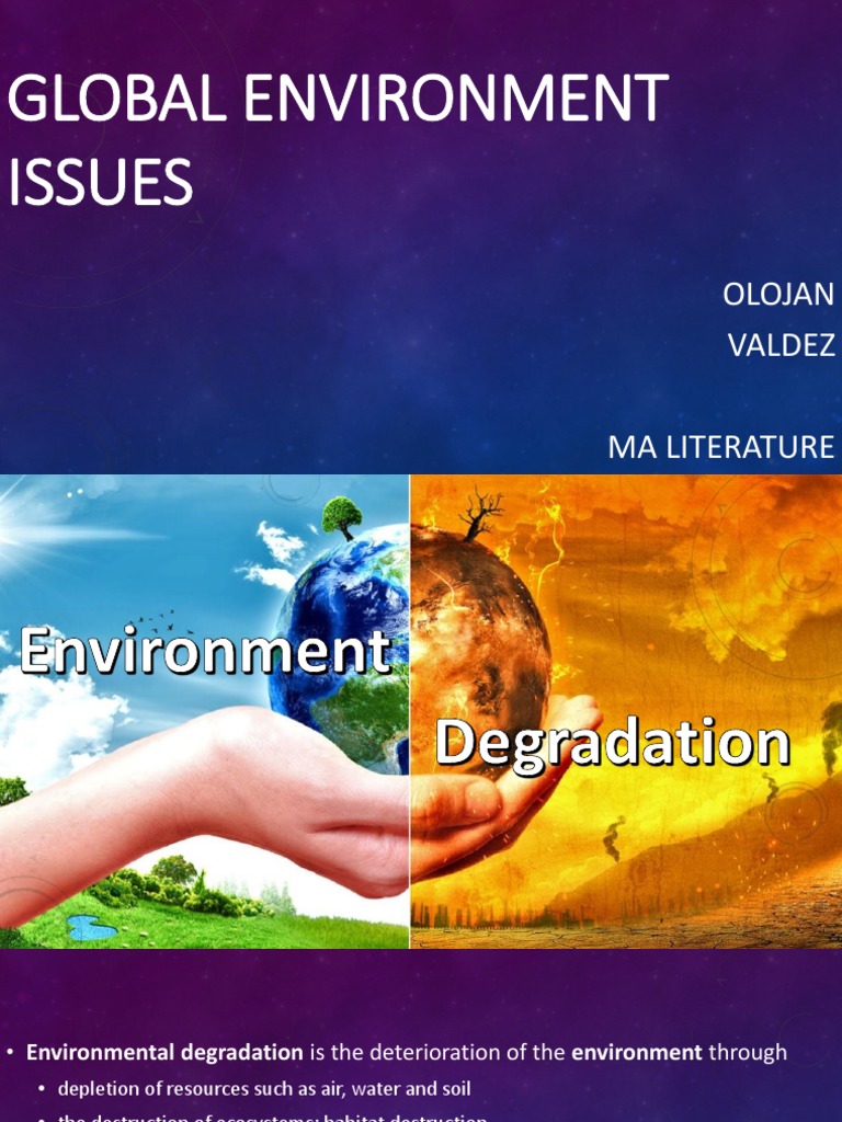 Global Environmental Issues Overview | PDF | Nuclear Power ...