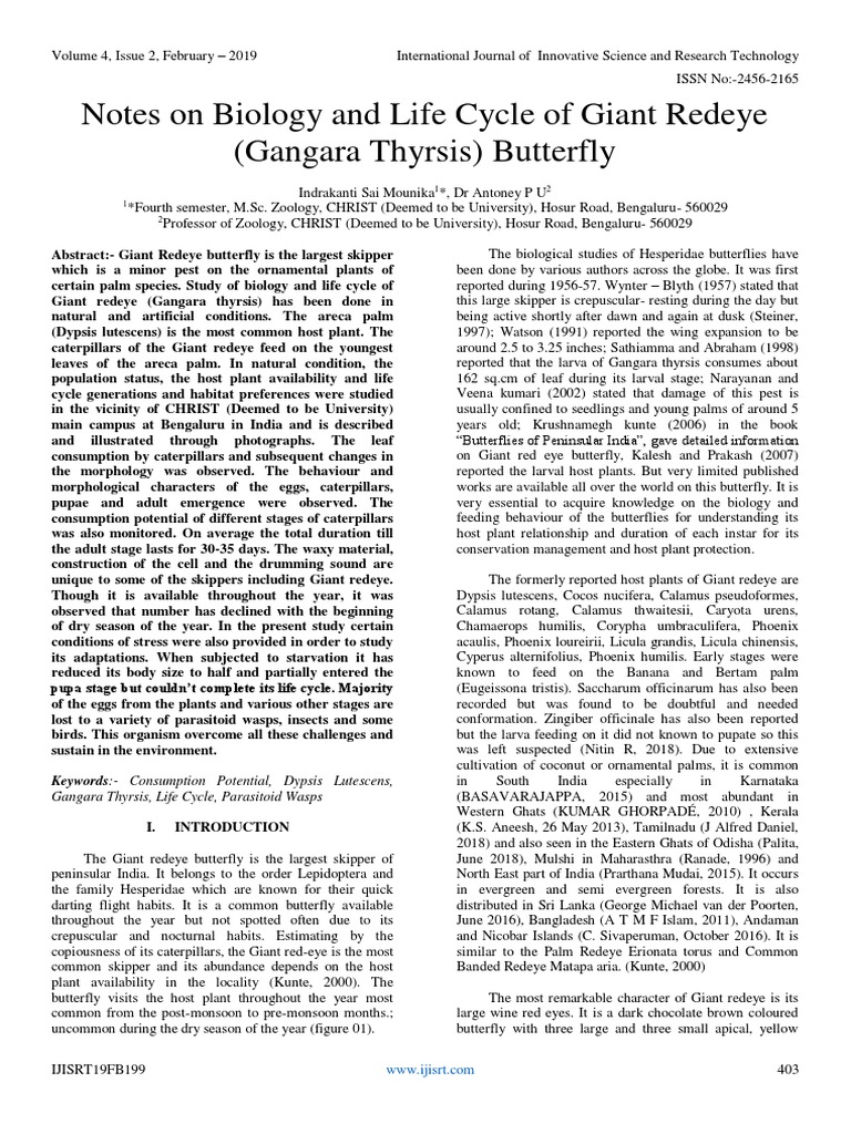 Notes On Biology and Life Cycle of Giant Redeye (Gangara Thyrsis ...