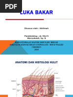 Pupil Isokor vs Anisokor: Perbedaan dan Ciri | PDF