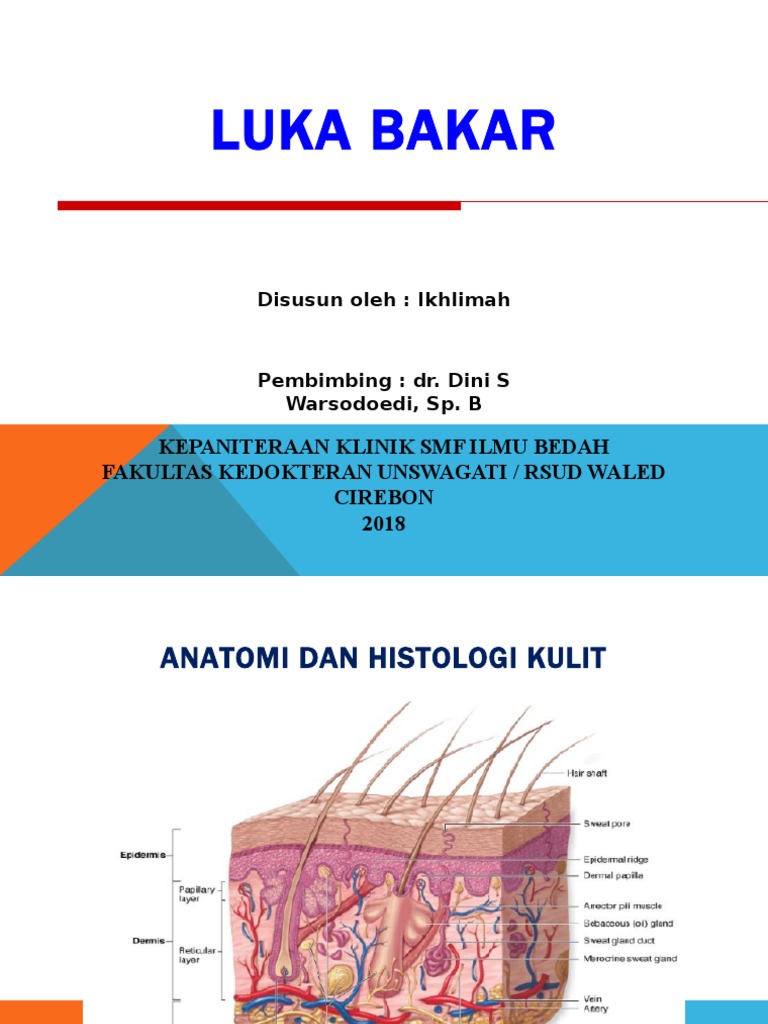 Luka Bakar | PDF