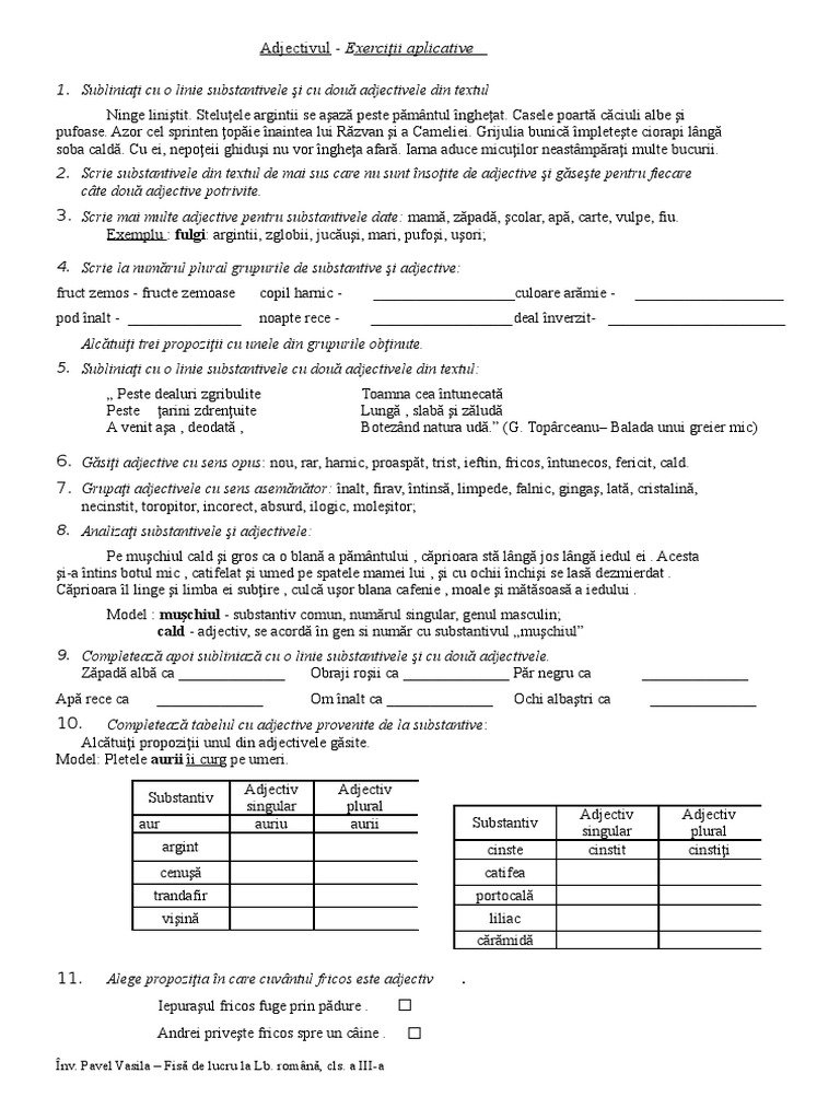 Adjectivul PDF | PDF