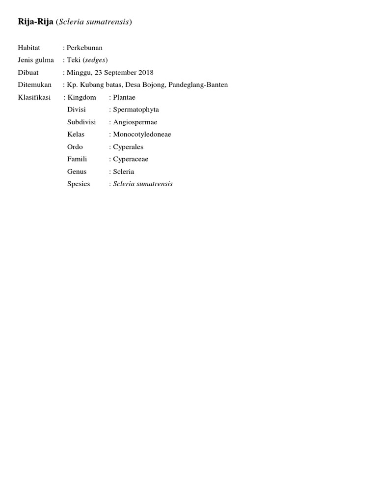 Rija-RIJA HERBARIUM | PDF | Griya & Taman | Teknologi & Rekayasa