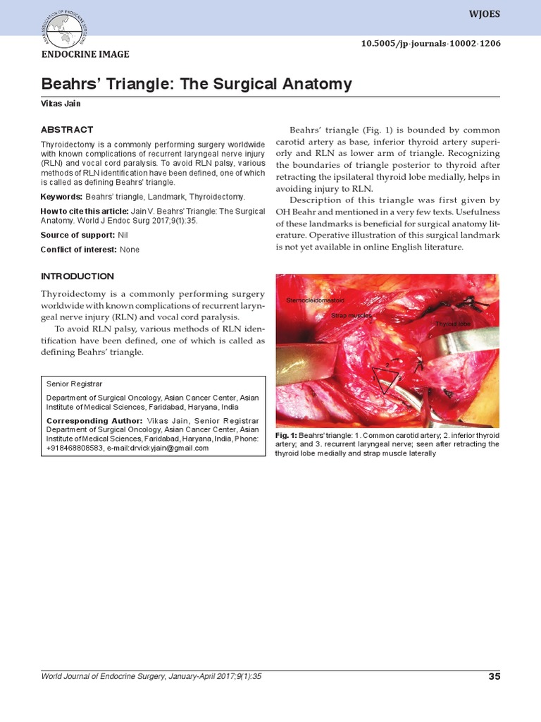 Beahrs Triangle The Surgical Anatomy | Download Free PDF | Thyroid ...