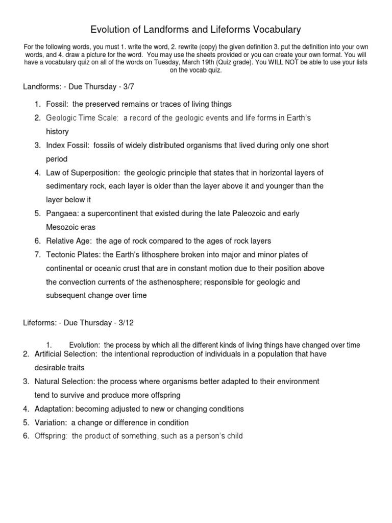 Vocabulary | PDF | Science & Mathematics