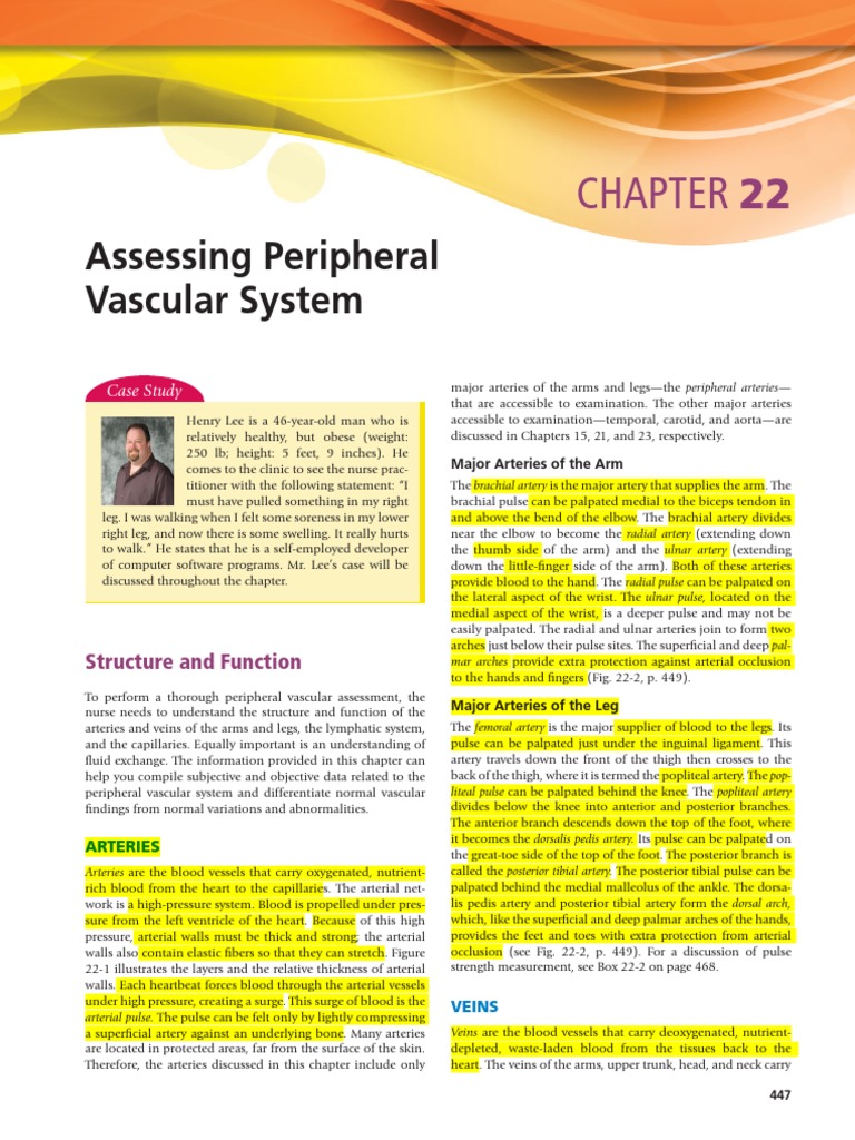 Peripheral Vascular System Assessment | PDF | Vein | Lymphatic System