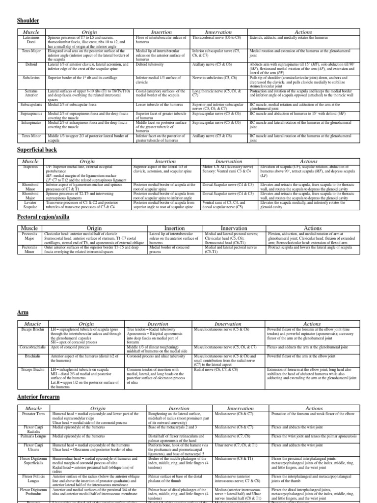 Muscle Origin Insertion Innervation Actions: Shoulder | PDF | Elbow ...