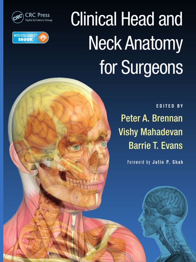 Head and Neck Anatomy PDF | PDF | Oral And Maxillofacial Surgery | Skin