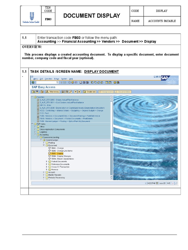 Document Display: Enter Transaction Code FB03 or Follow The Menu Path ...