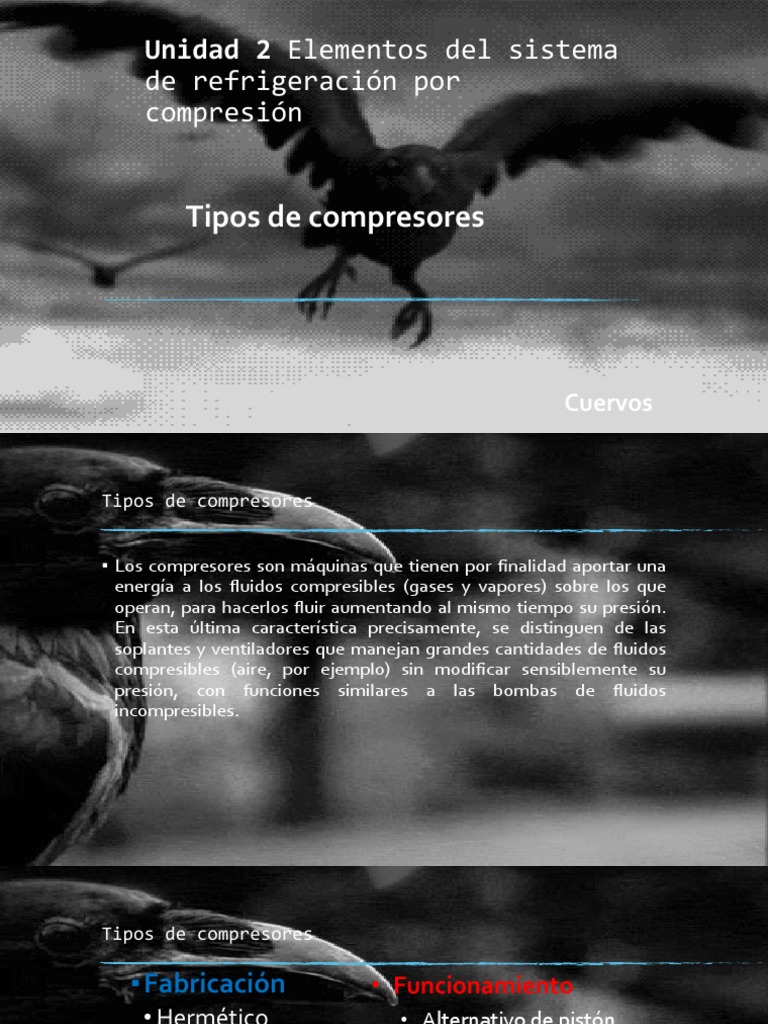 Clasificación y Tipos de Compresores de Refrigeración | PDF | Pistón ...