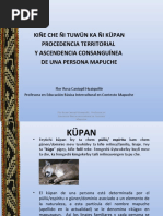 Palabras Mapuches y sus Significados | PDF