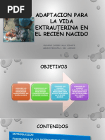 Acino Pulmonar y Enfisema | PDF | Ciencia y matemáticas