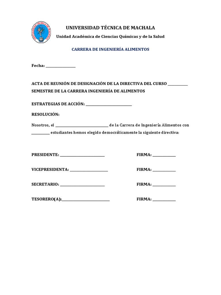 Formato de Directiva | PDF