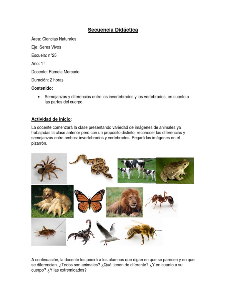 Secuencia Cs Nat | PDF | Vertebrados | Invertebrado