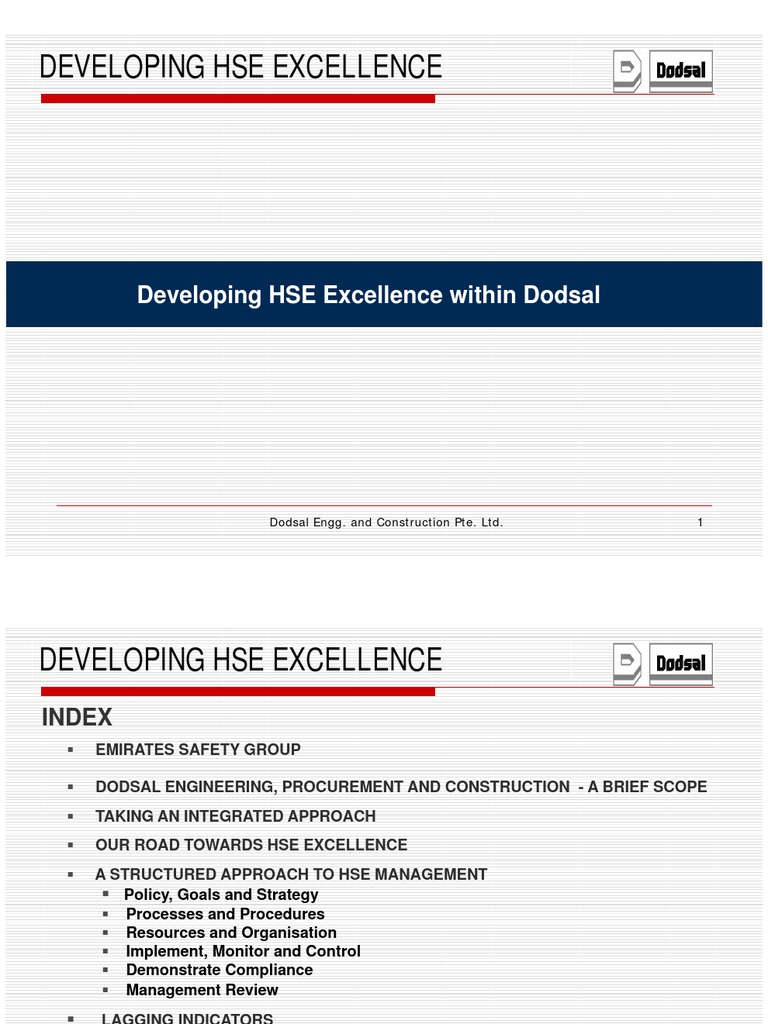 Developing HSE Excellence | PDF | Audit | Business Process