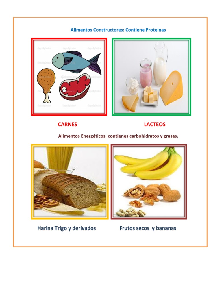 Alimentos Constructores: Qué Son, Cuáles Son Y Ejemplos – KYRY