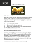 Commercial Poultry Farm Project Proposal PDF | PDF | Poultry Farming ...