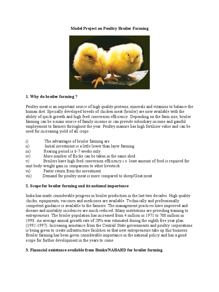 Model Project On Poultry Broiler Farming | PDF | Poultry Farming | Broiler