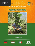 Manual para El Establecimiento de Una Huerta de Aguacate | PDF | Aguacate | Fertilizante