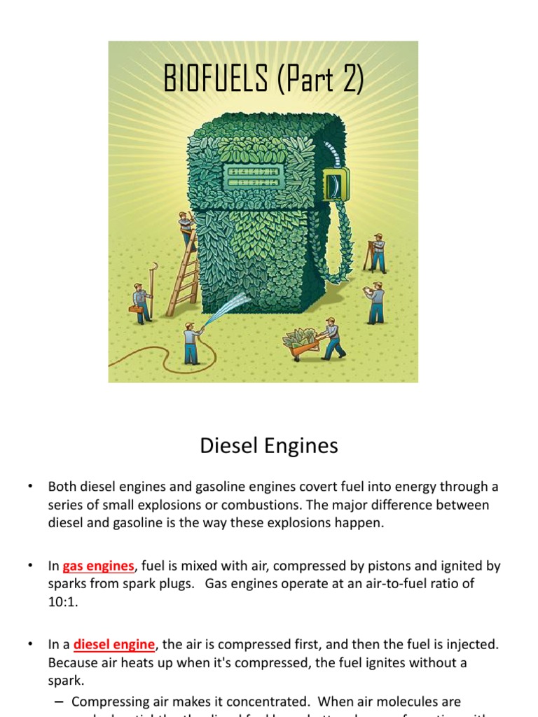 Biofuels 2 | PDF | Biodiesel | Diesel Engine