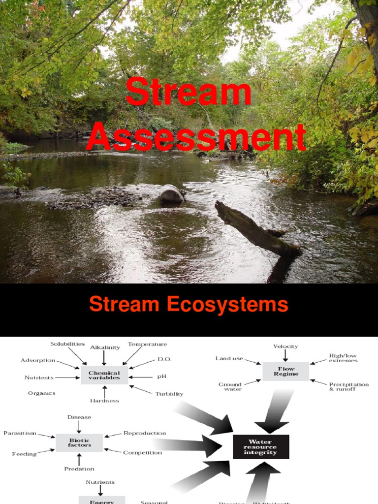 River Assessment | PDF | Stream | River