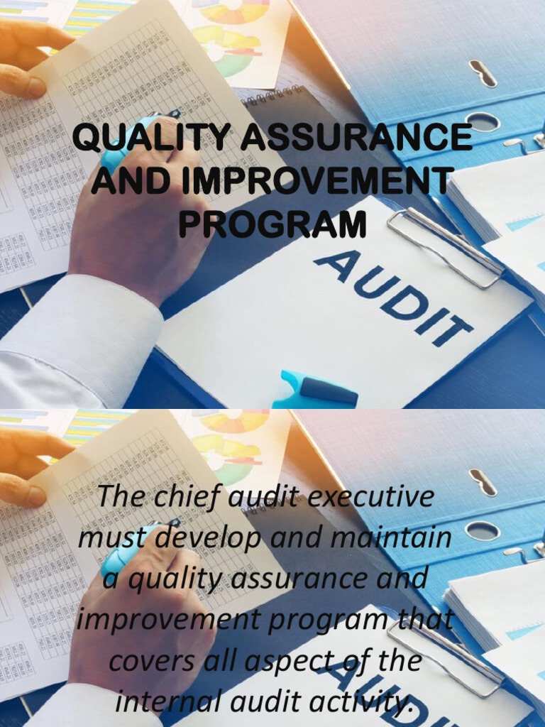 Attribute and Perfomance Standards | PDF | Internal Audit | Audit