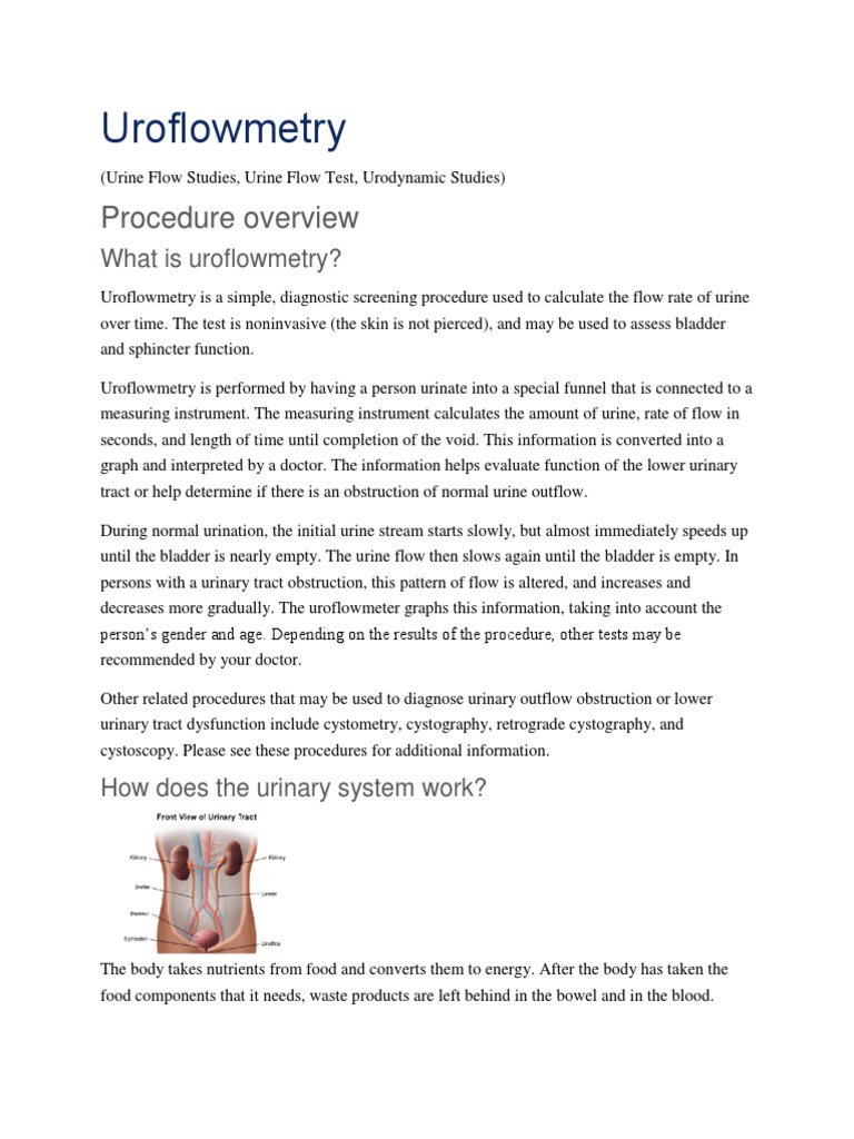 Uroflowmetry: Procedure Overview | PDF | Kidney | Urinary Bladder