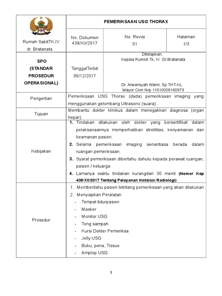 Spo Usg Thorax | PDF