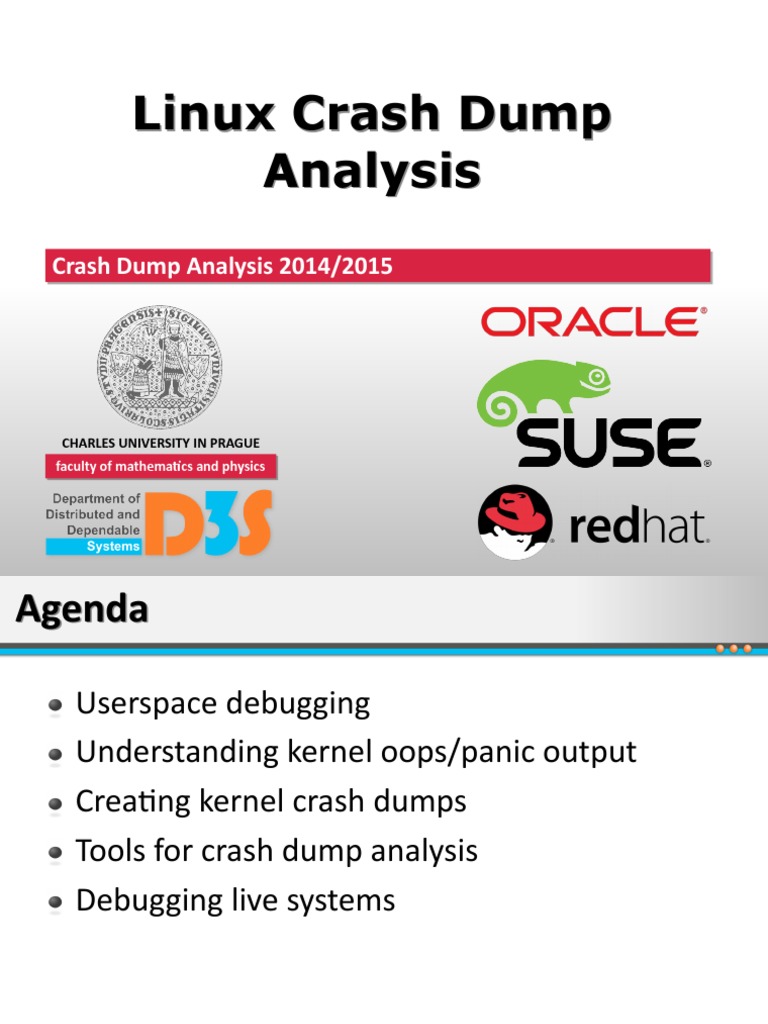Analysis of a Linux Kernel Oops Dump Revealing an Invalid Anon VMA ...