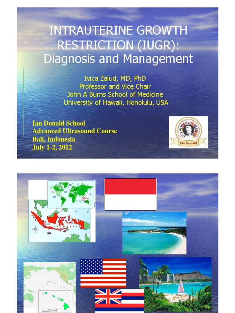 2 - Ivica Zalud - IUGR Bali 2012.ppt (Read-Only) | PDF | Fetus | Prenatal Development
