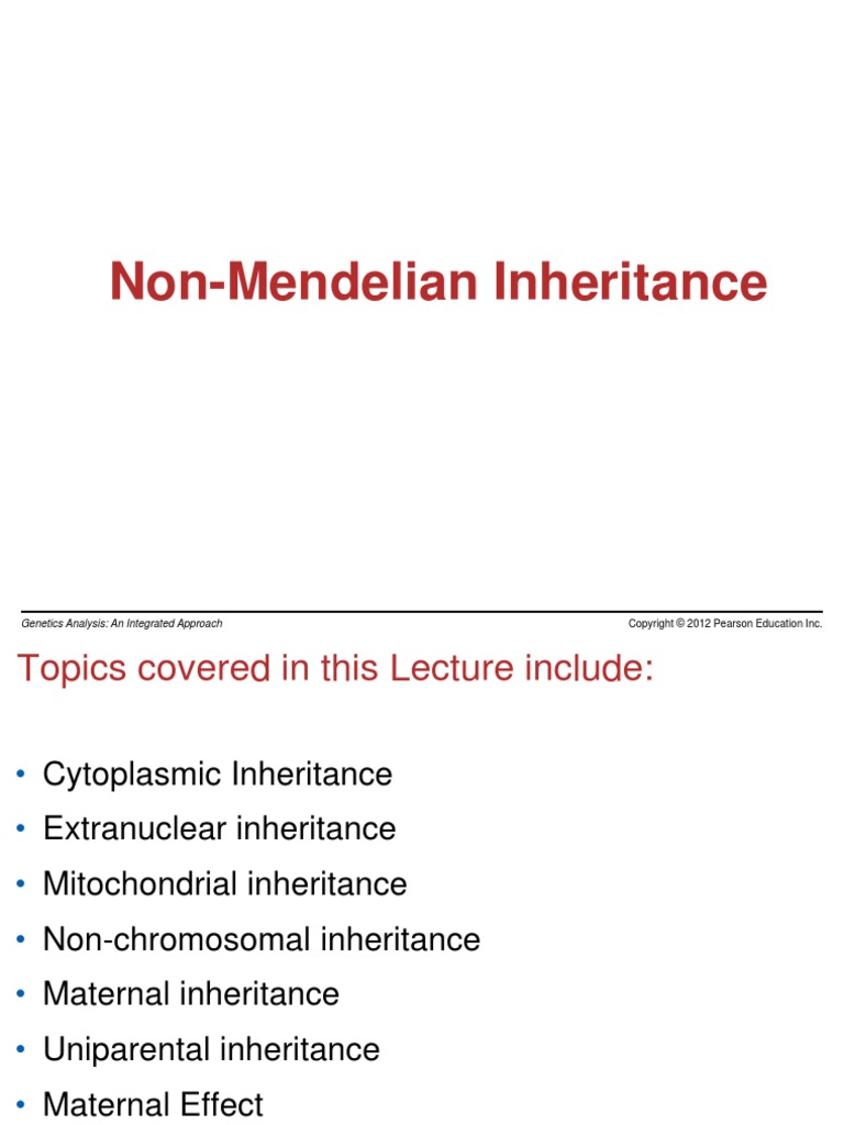 L#5 Cytoplasmic Inheritance | PDF | Mitochondrial Dna | Mitochondrion