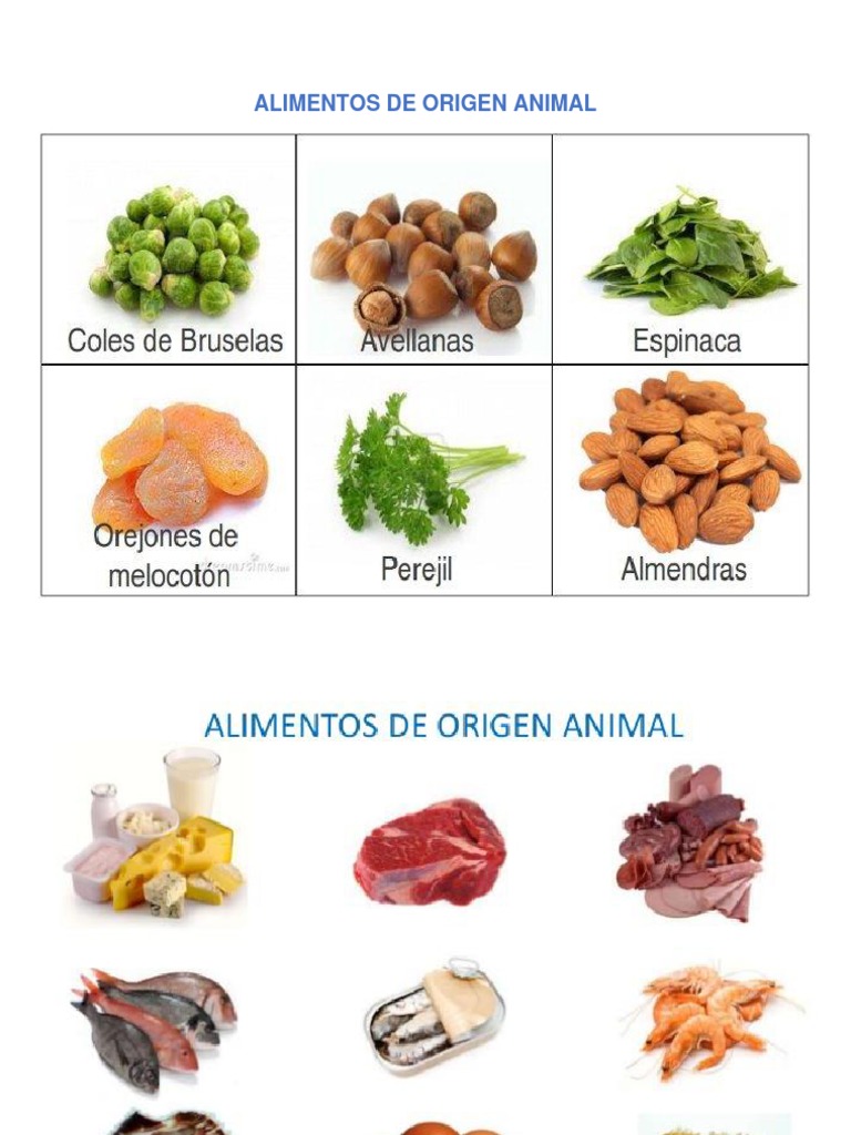 ALIMENTOS DE ORIGEN ANIMAL Y VEGETAL.docx