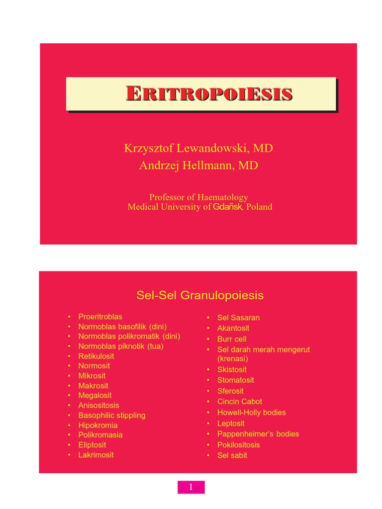 Panduan Eritropoiesis Medis | PDF