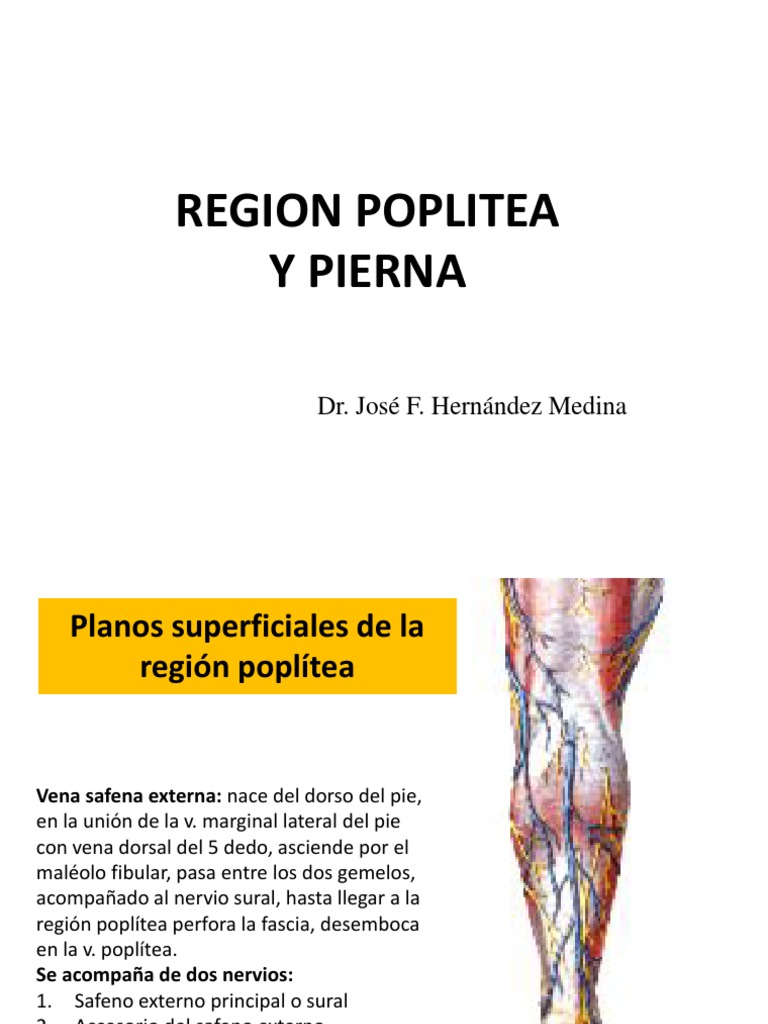 Poplitea y Pierna 2018 | PDF | Tejido suave | Anatomía humana