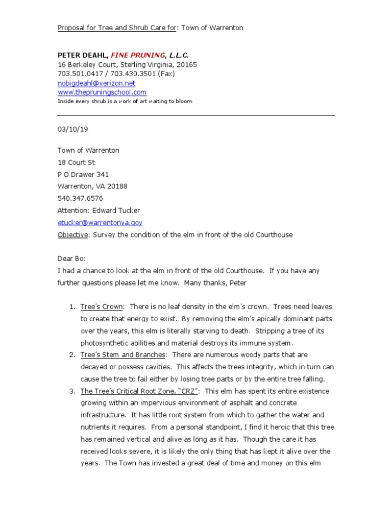 Warrenton Elm Tree Report From Arborist | PDF | Trees | Pruning