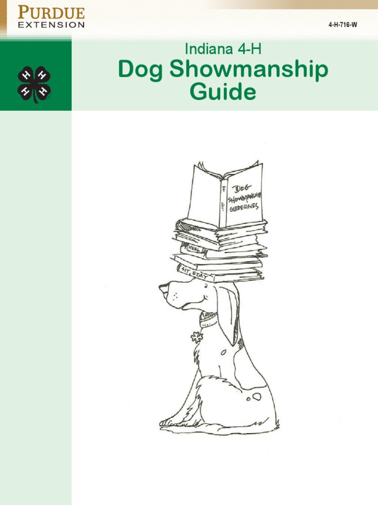 Dog Showmanship Guide: Indiana 4-H | PDF | Horse Gait | Conformation Show