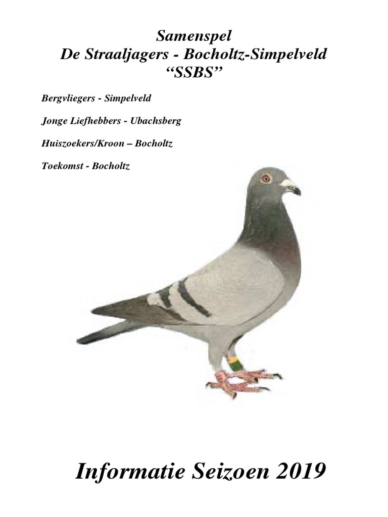 Info Samenspel SSB 2019 | PDF
