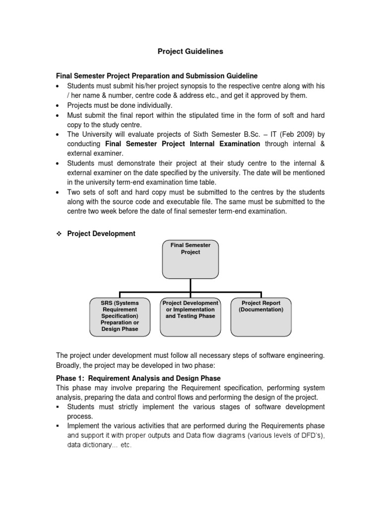 Final Semester Project Guidelines | PDF