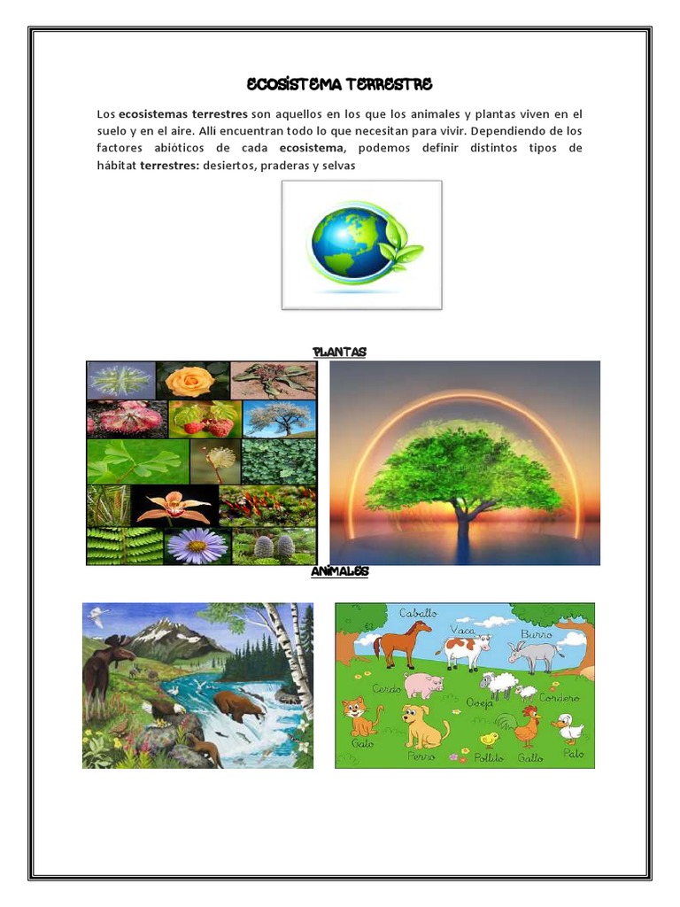 Ecosistemas Terrestres: Tipos y Hábitats | PDF | Ciencia y matemáticas ...