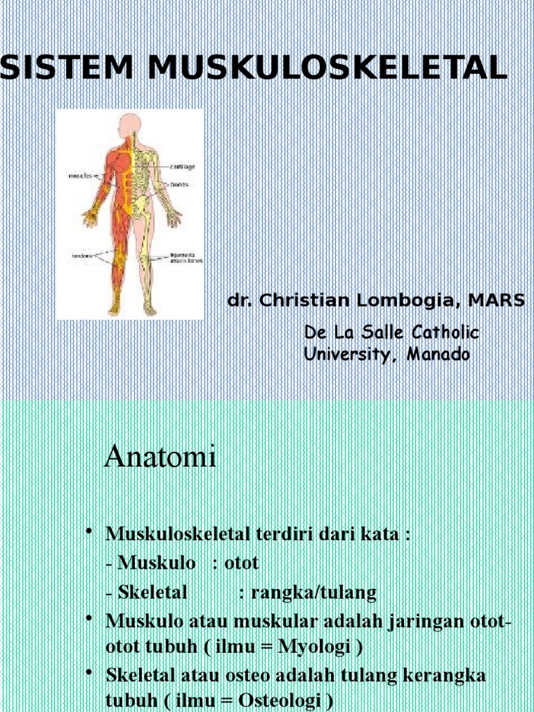 Anatomi Musculoskeletal Dr. Christian L | PDF | Kesehatan Holistik